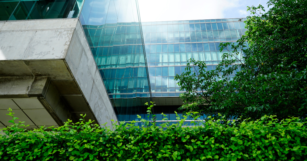 ISSP Branding Guidelines