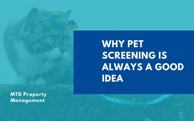 The Importance of Pet Screening for Pet-Friendly Rentals