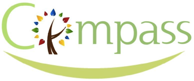 Georgia Compass Website Navigate Georgia Advisory Services For The