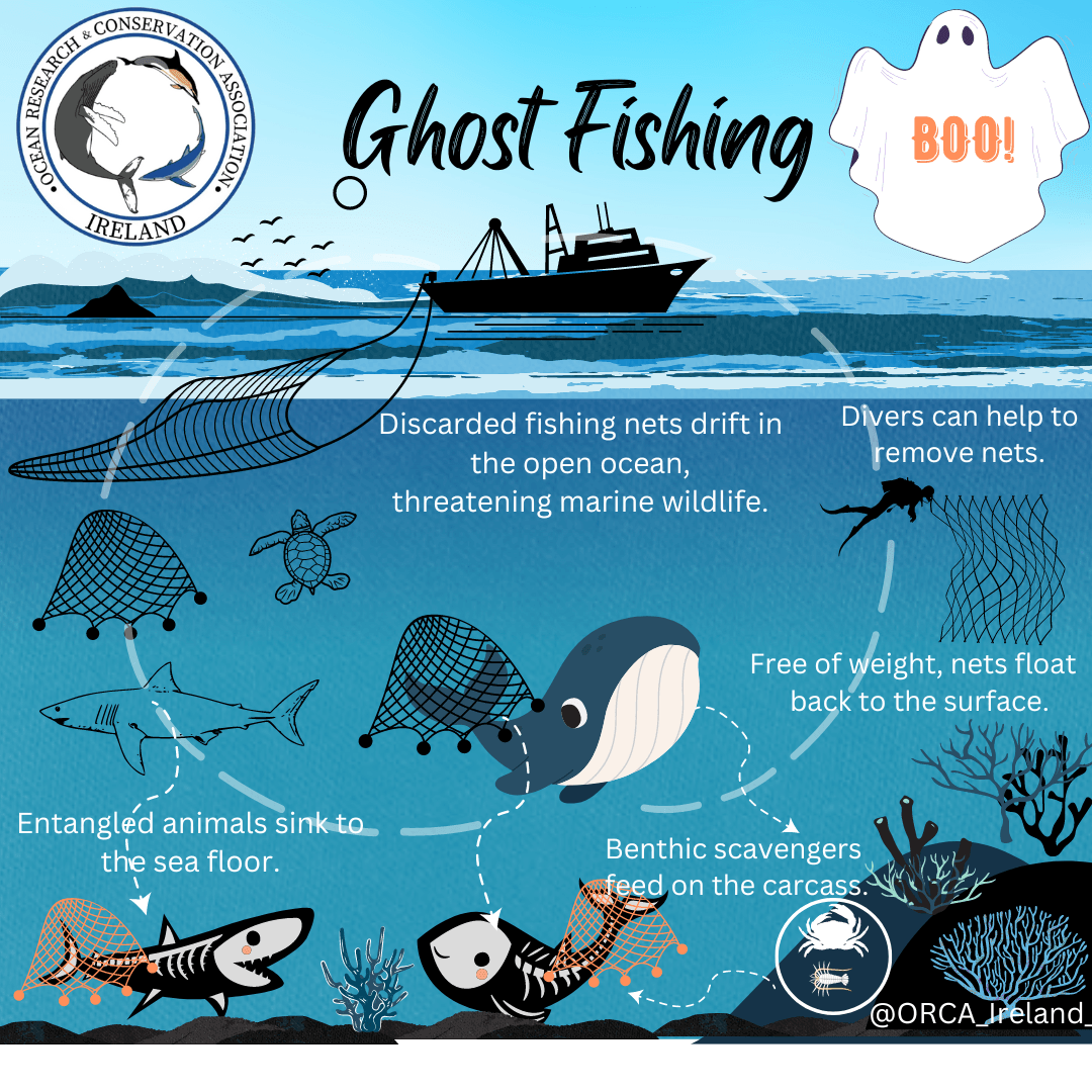 Halloween Special: Ghost Gear: A True Horror Story.