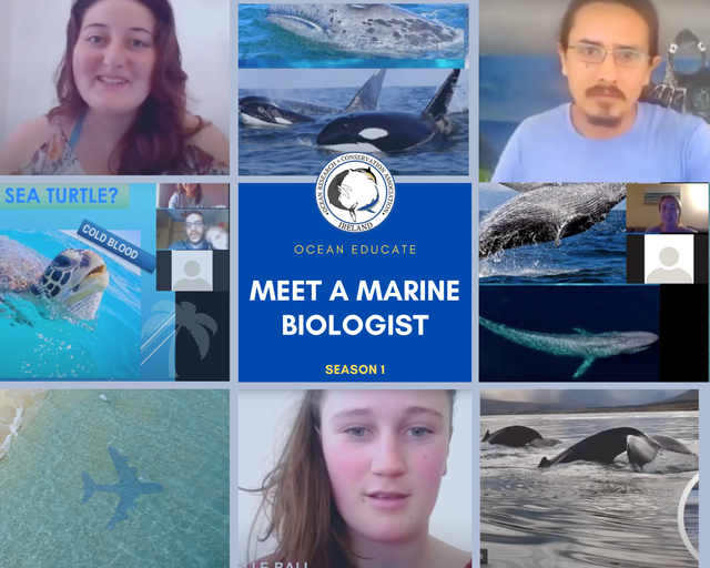 Marine Biologst Short Bios Of Women In Marine Biology Baleines En