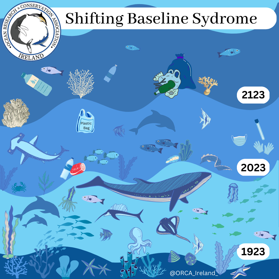 Canary in a Coal Mine: Shifting Ocean Baselines