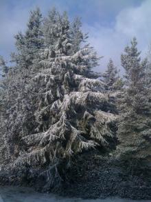 Our Grants | Three Rivers Foundation