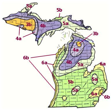 Edible Plants in Michigan [COMPLETE LIST]