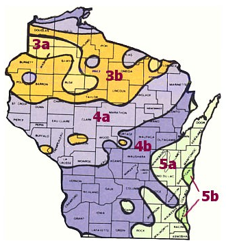 Edible Plants in Wisconsin [Full Guide A-Z]