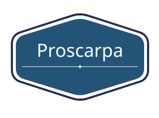 HOME [www.proscarpa.com]