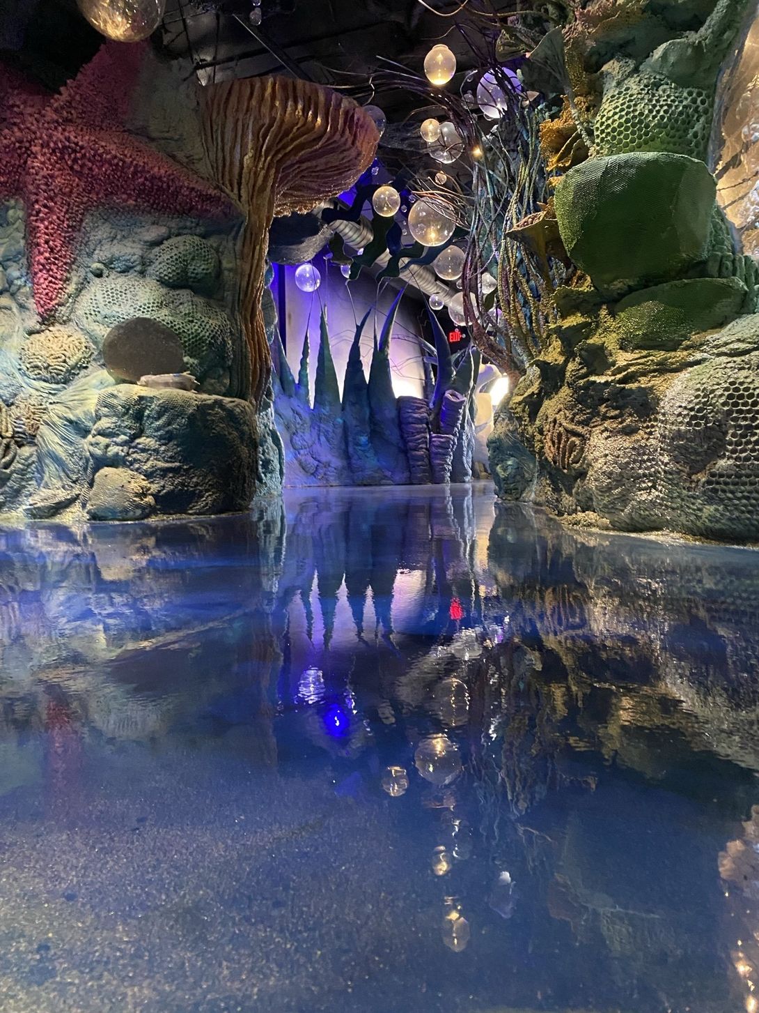 Wizard Quest in Wisconsin Dells