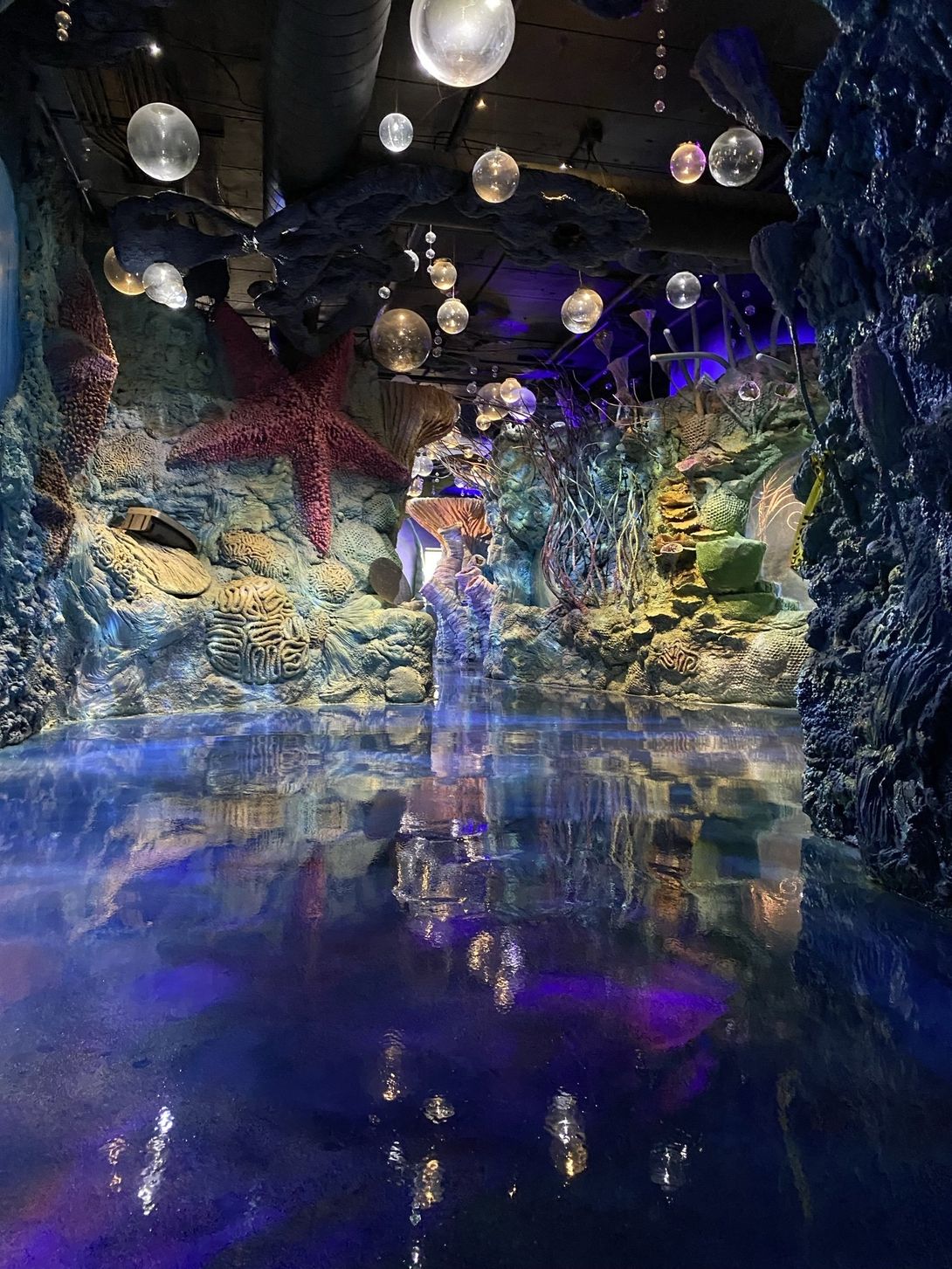 Wizard Quest in Wisconsin Dells