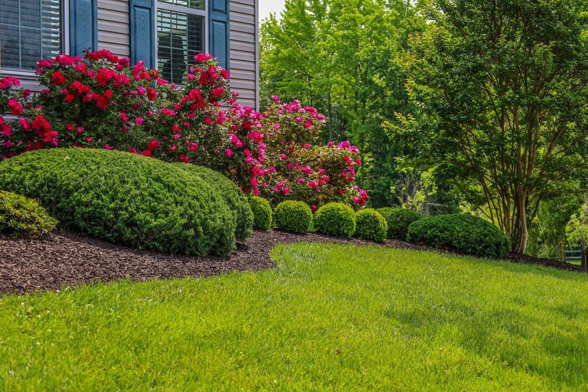 Marshall Landscaping | DE Landscape Company