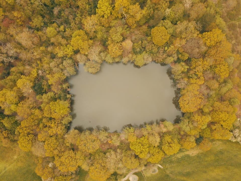 Our own fishing lake