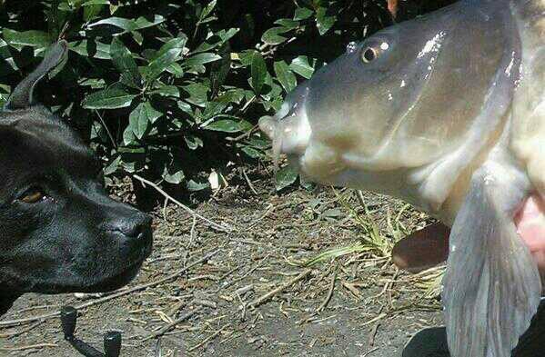 Our own fishing lake