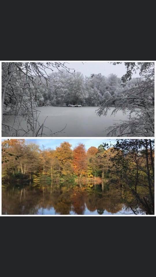 Our own fishing lake