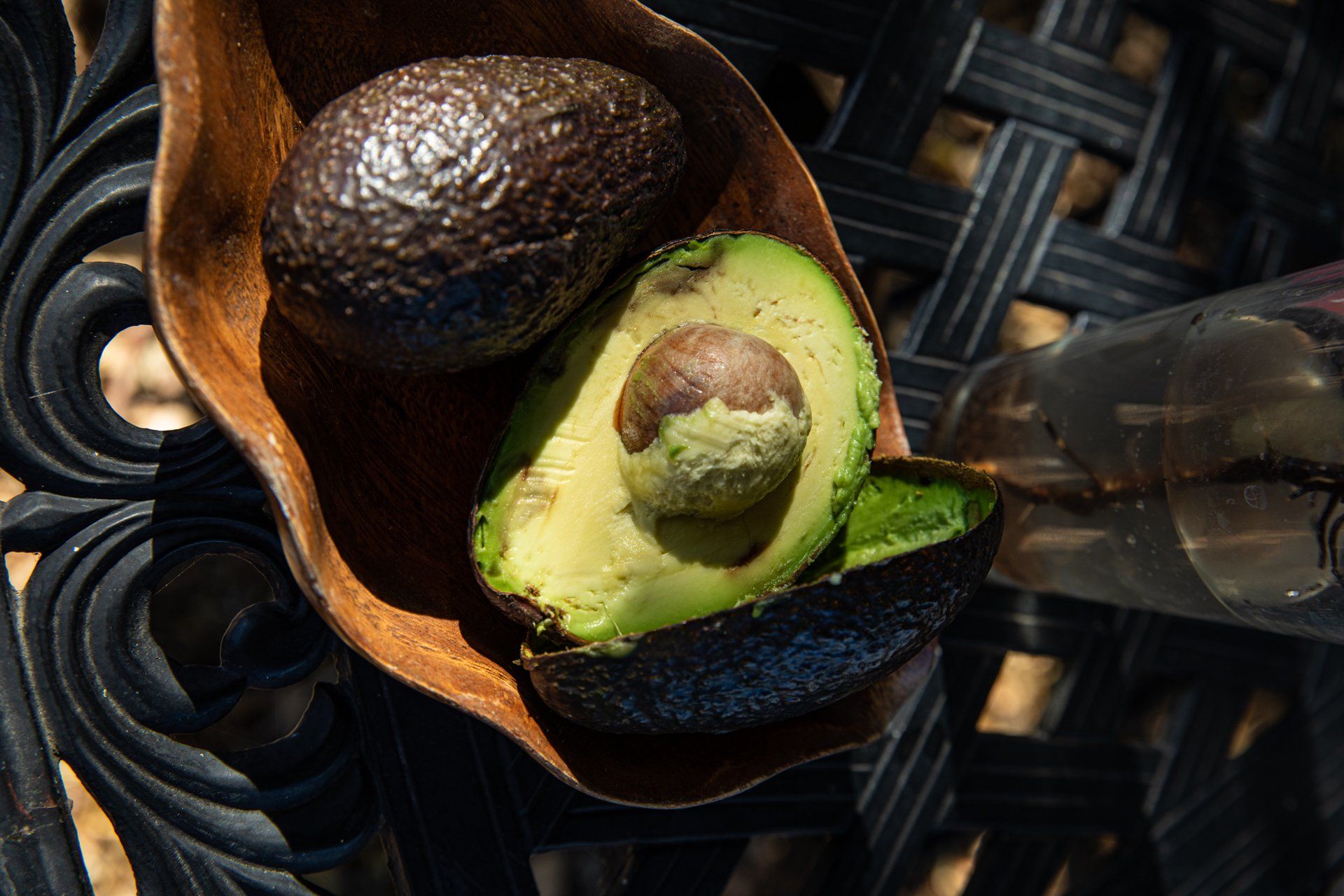 Growing Avocados - Aloha Food Forest Video Series