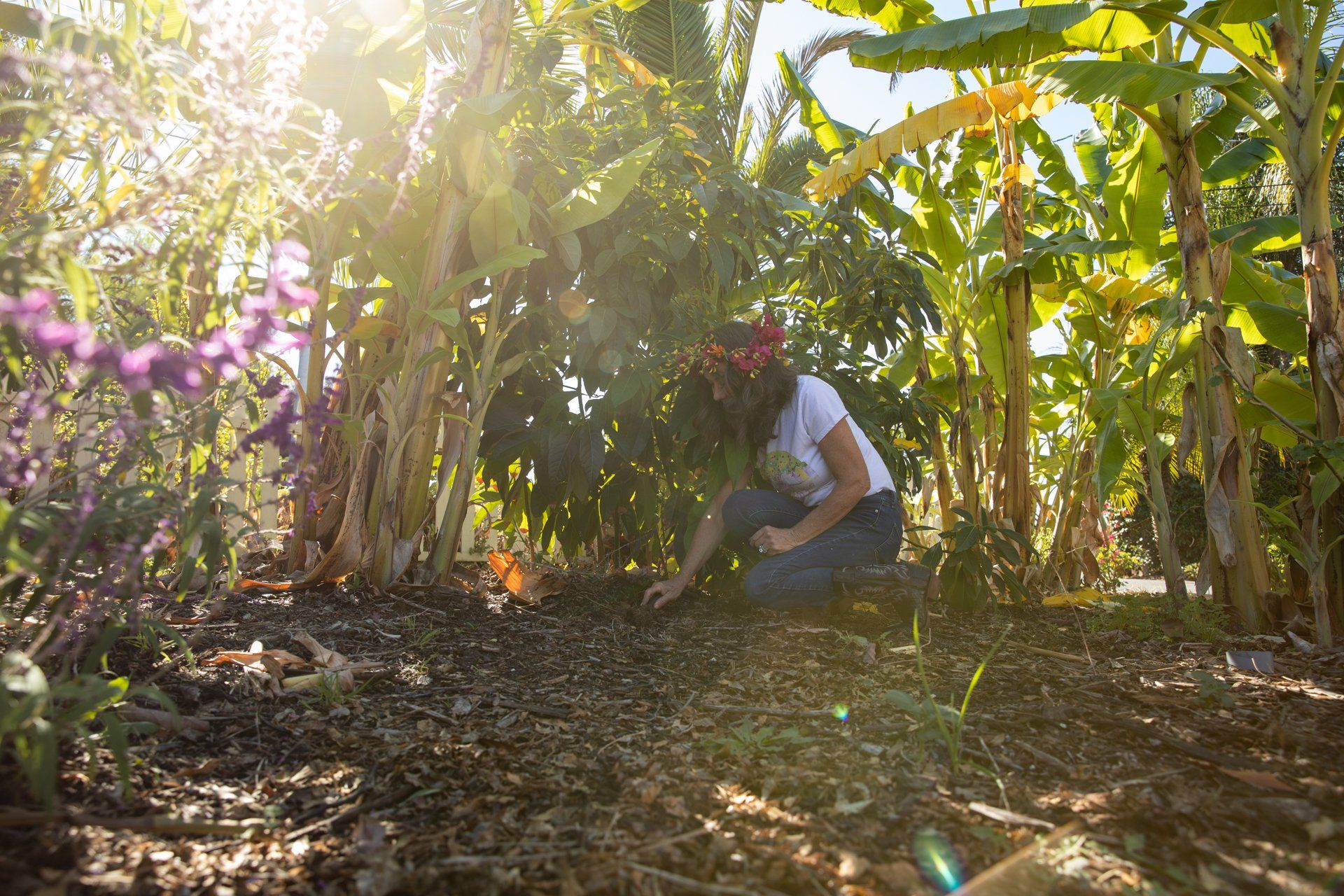 Learn About Food Forests - Aloha Food Forest Video Series