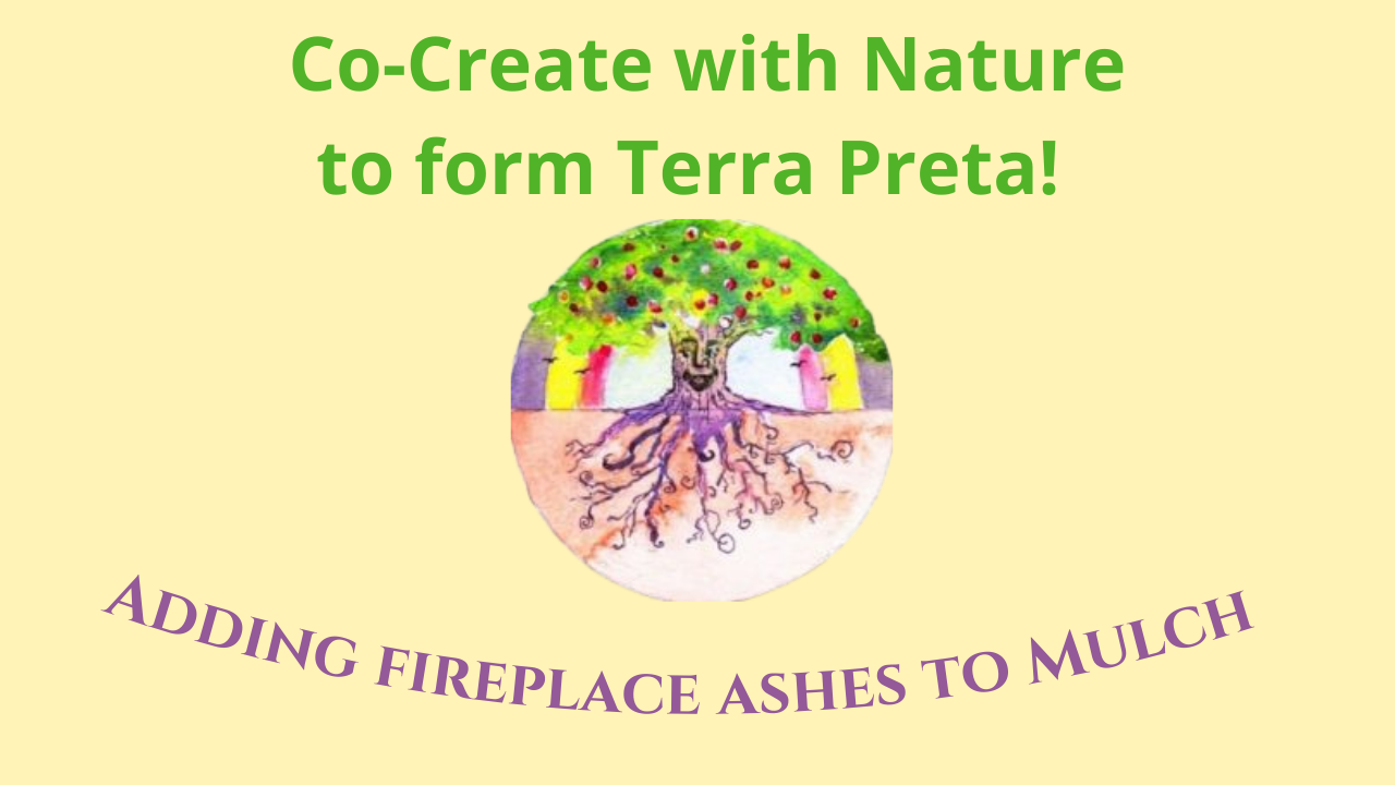 Co-Create with Nature to Form Terra Preta Inspired Soil - Using Ashes ...