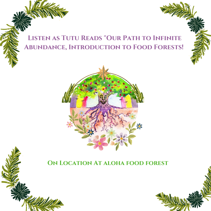 Planting Food Forest Guilds