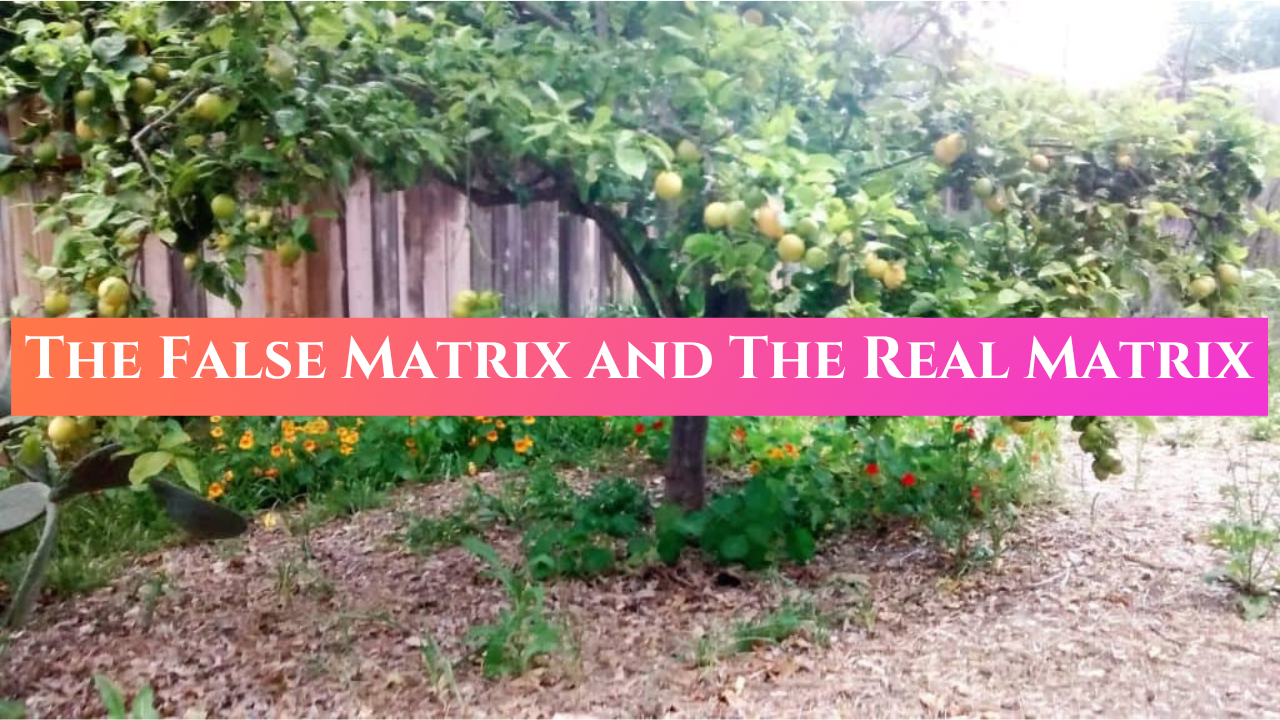 The False Matrix and the Real Matrix