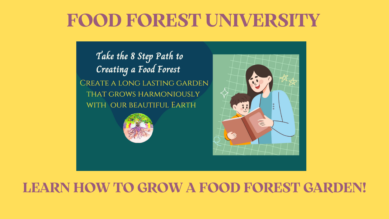 Planting Food Forest Guilds