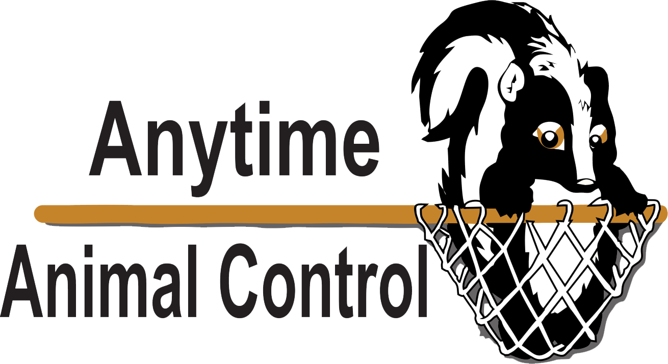 Looking for pest control in Southeastern Michigan?