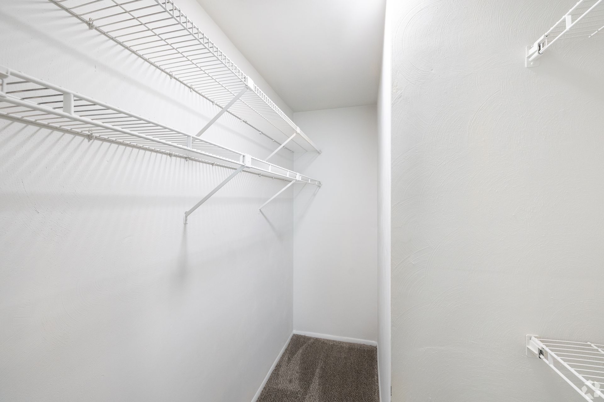 Home | Dove Landing | Virginia Beach, VA