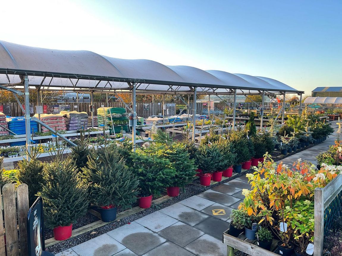 Your local garden nursery | Ashbrook Nursery