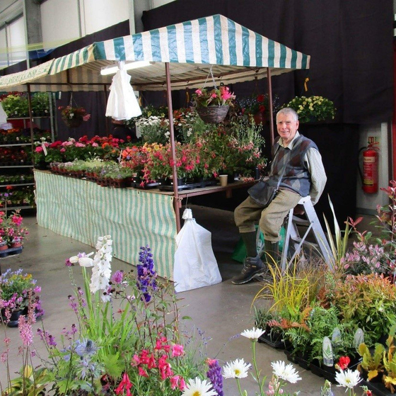 Your local garden nursery | Ashbrook Nursery