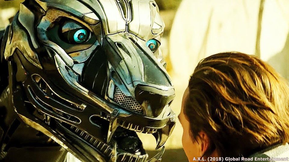 A.X.L. (2018) Video Reviews