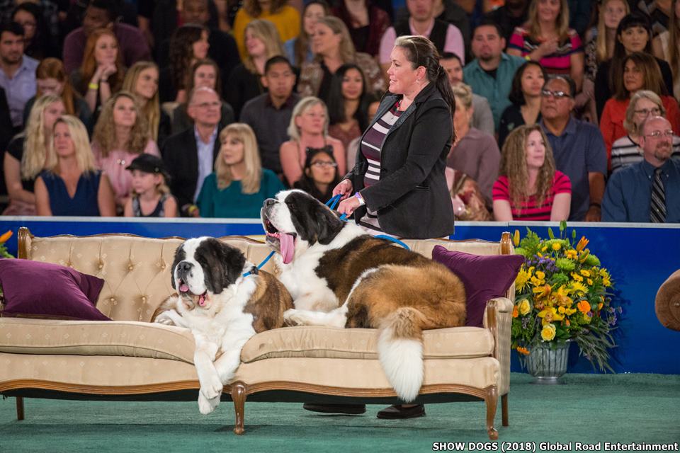 SHOW DOGS (2018) Video Reviews