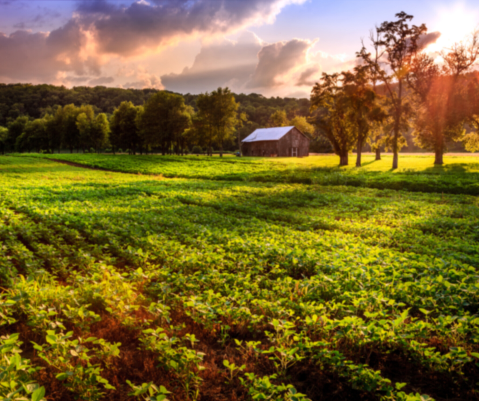 Senior Spotlight: Retirees & Rural America