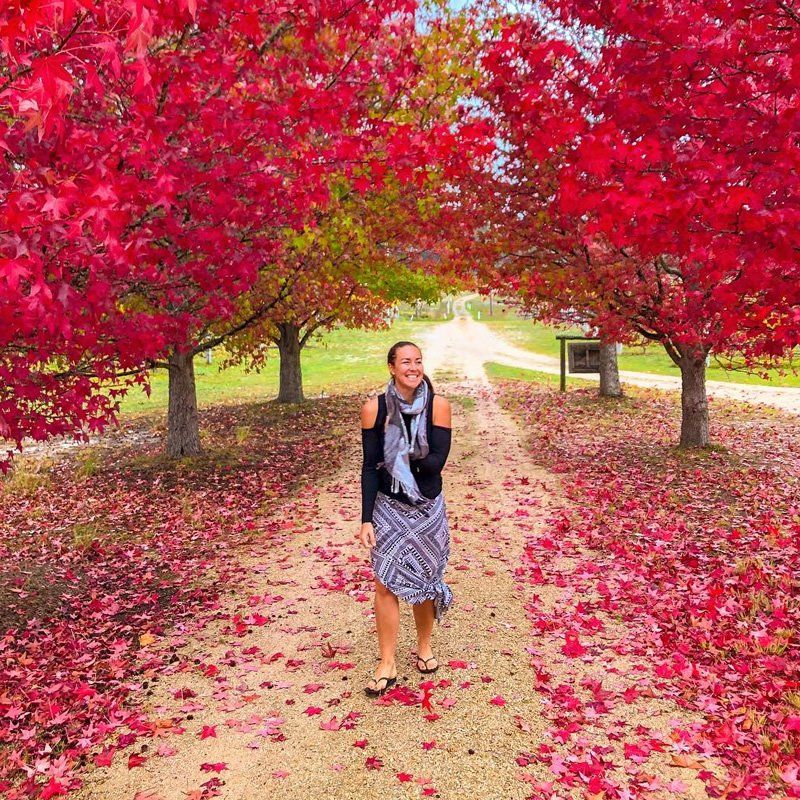 Parks in Toowoomba