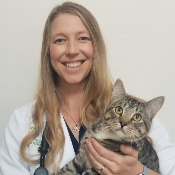 Leadership Information | Portland Veterinary Medical Association ...