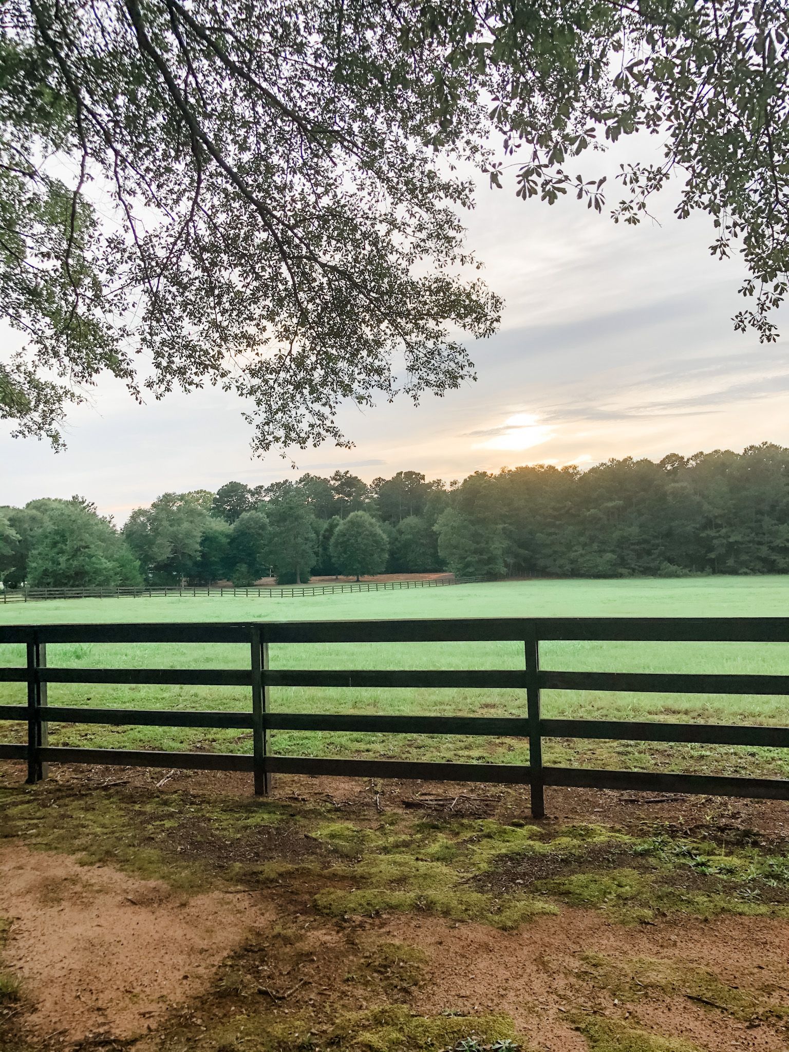 Farm/Ranch Fence Byron, GA | Byron Fence