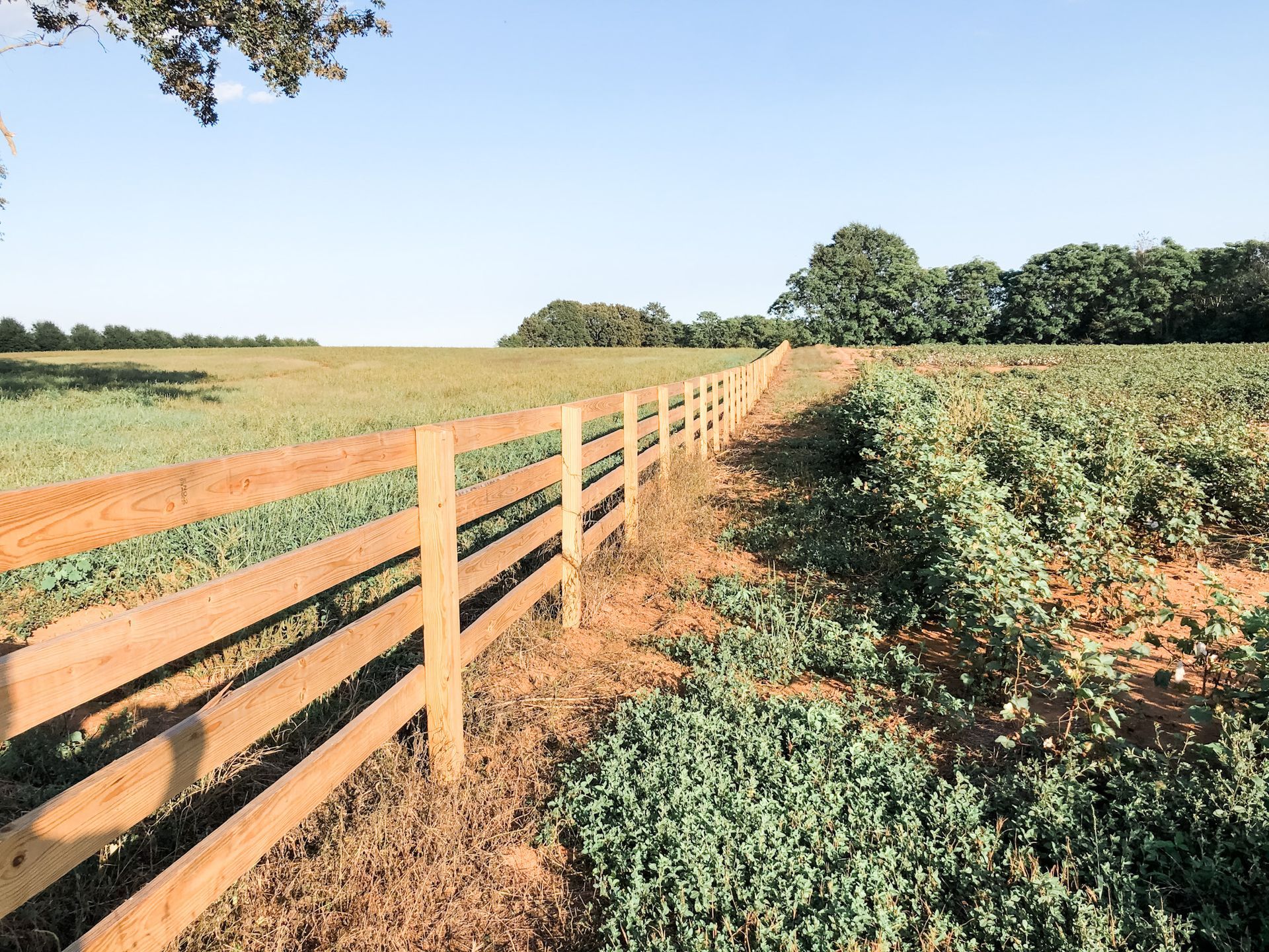 Farm/Ranch Fence Byron, GA | Byron Fence