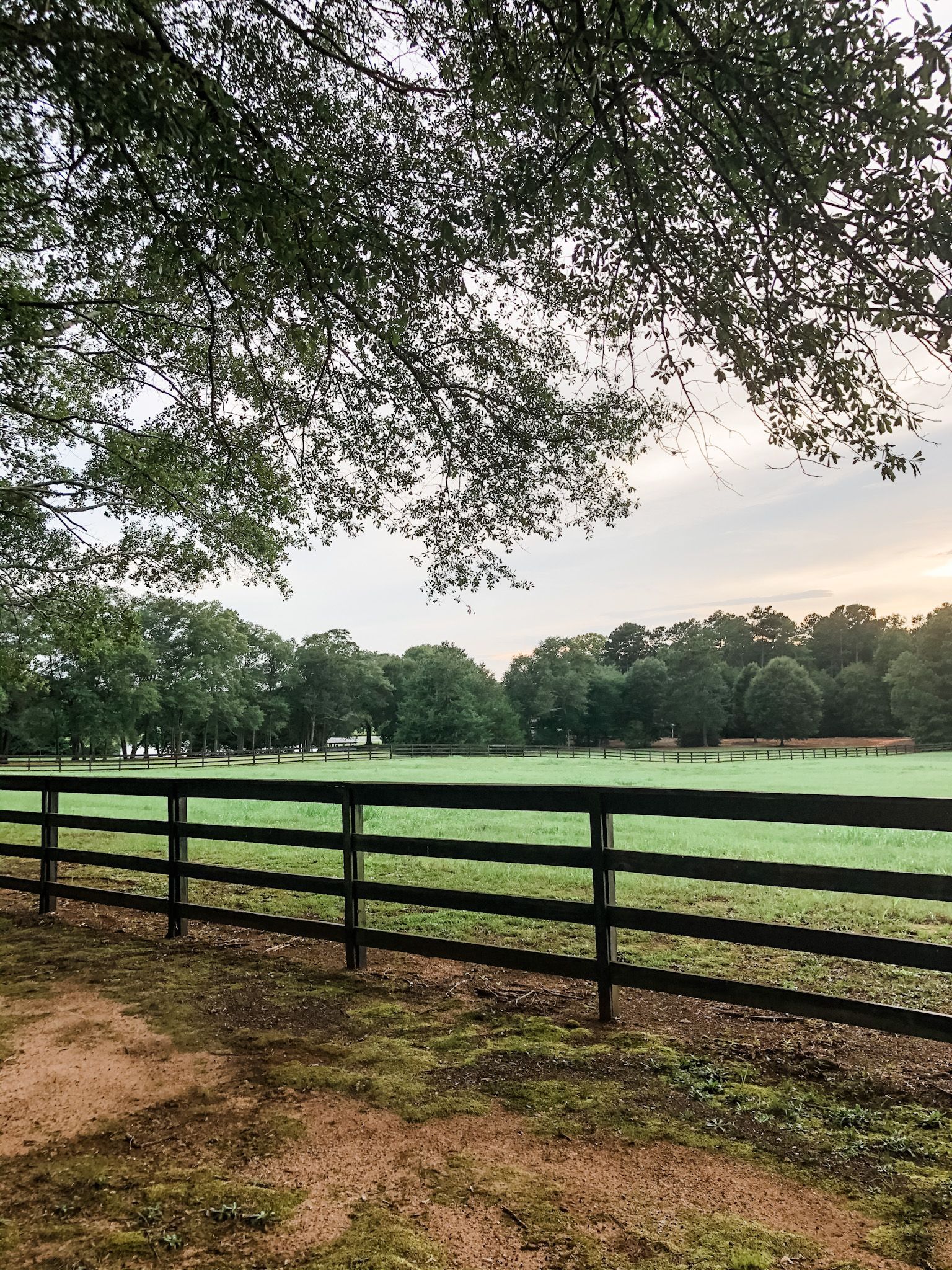 Farm/Ranch Fence Byron, GA | Byron Fence