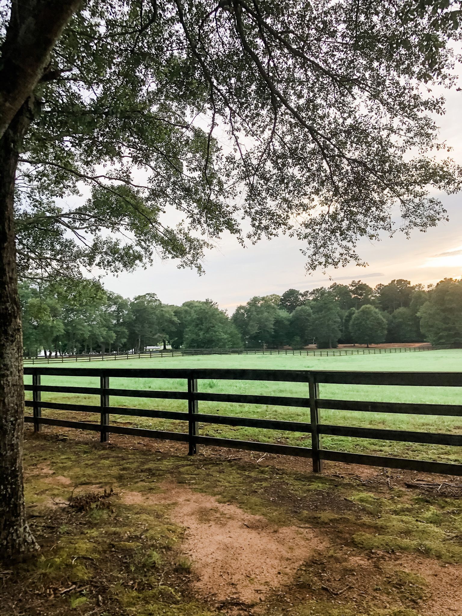 Farm/Ranch Fence Byron, GA | Byron Fence