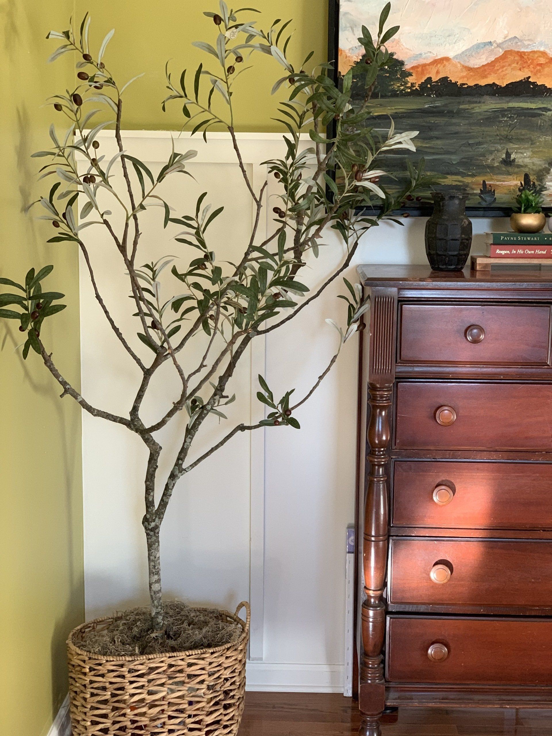 How To Make a Faux Olive Tree