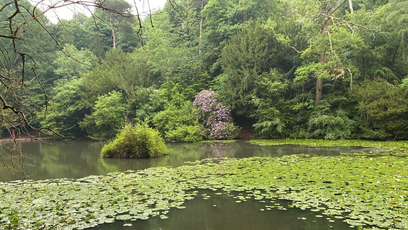 Abbots Pool - stopping anti-social behaviour