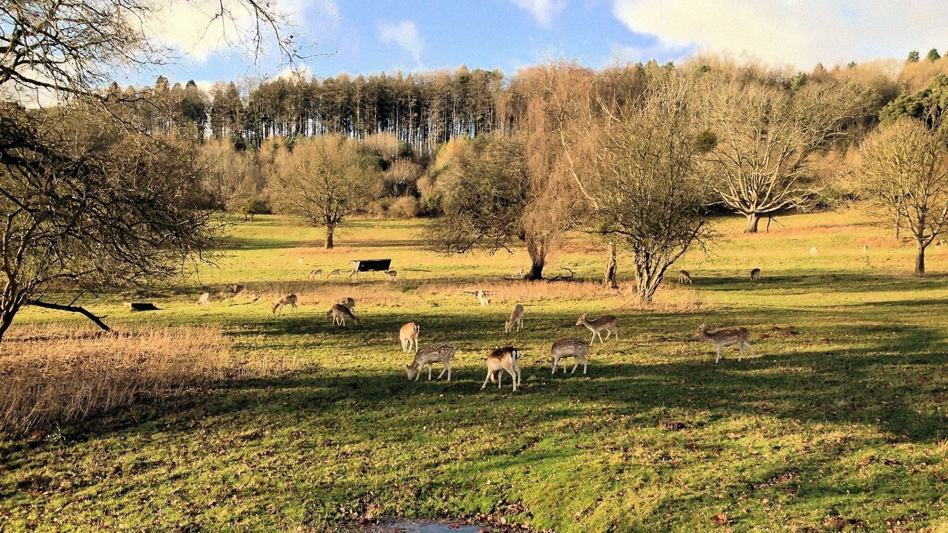 Official opening of Ashton Court cycle route