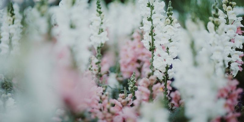 Making Funeral Pre-Planning Less Daunting