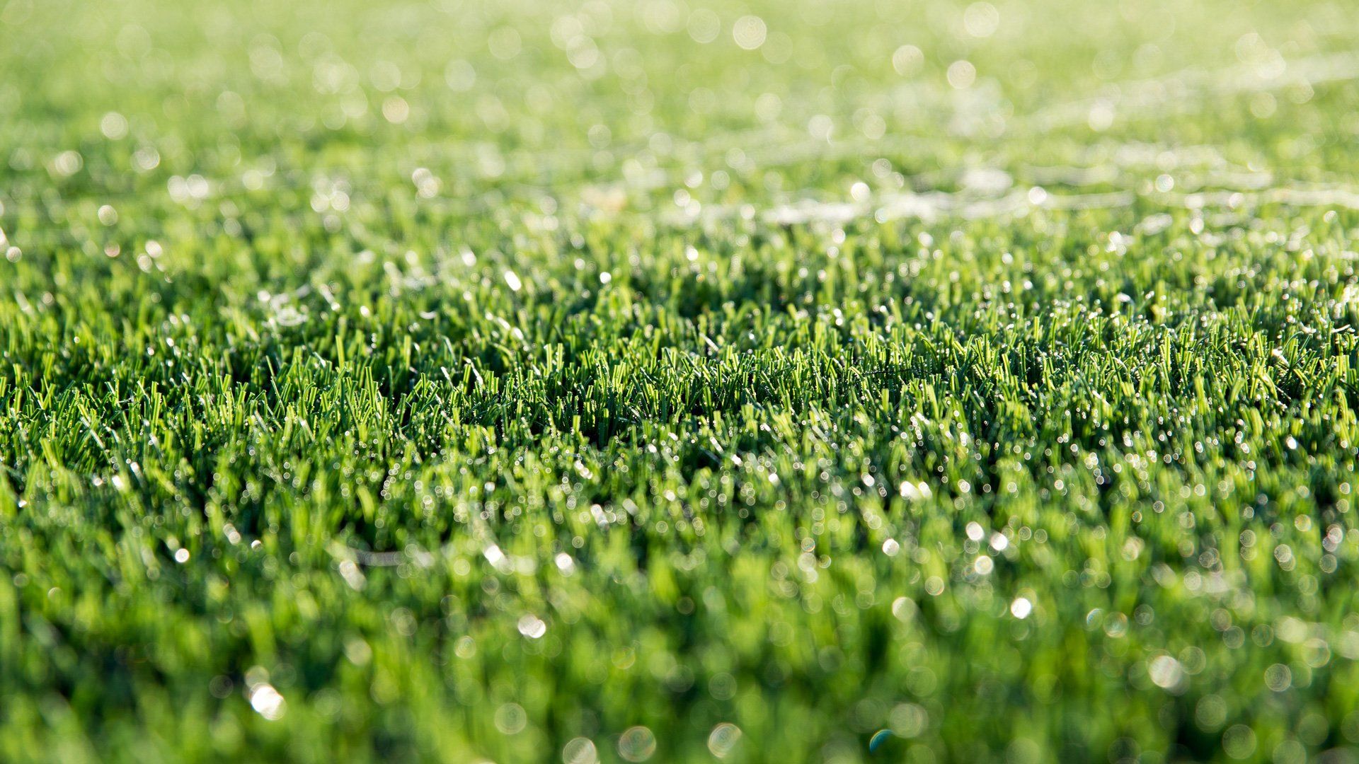 Our Soft Fall & Synthetic Surfaces | Sydney, NSW