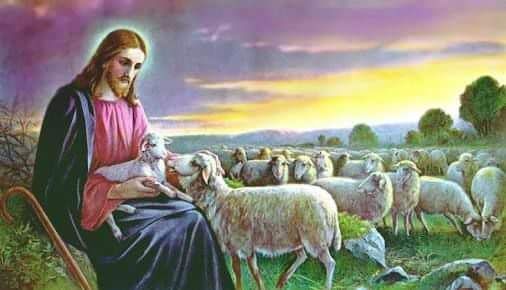 Good Shepherd Sunday | A Gospel Reflection for the 4th Sunday of Easter