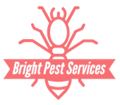 Bright Pest Services | Your First Line of Defense Against Pests!
