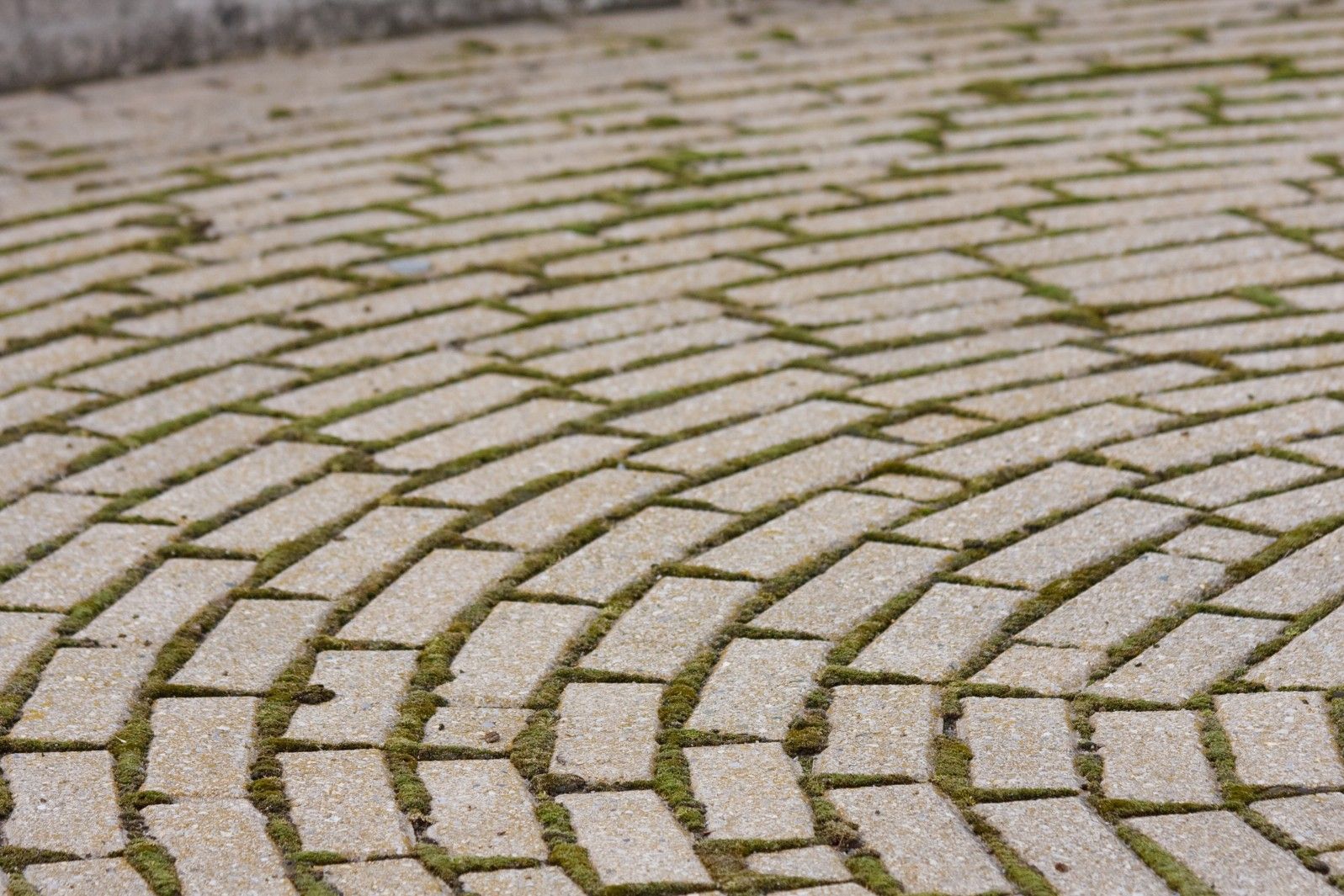 Riviera Beach Paver Installation | Paver Contractors