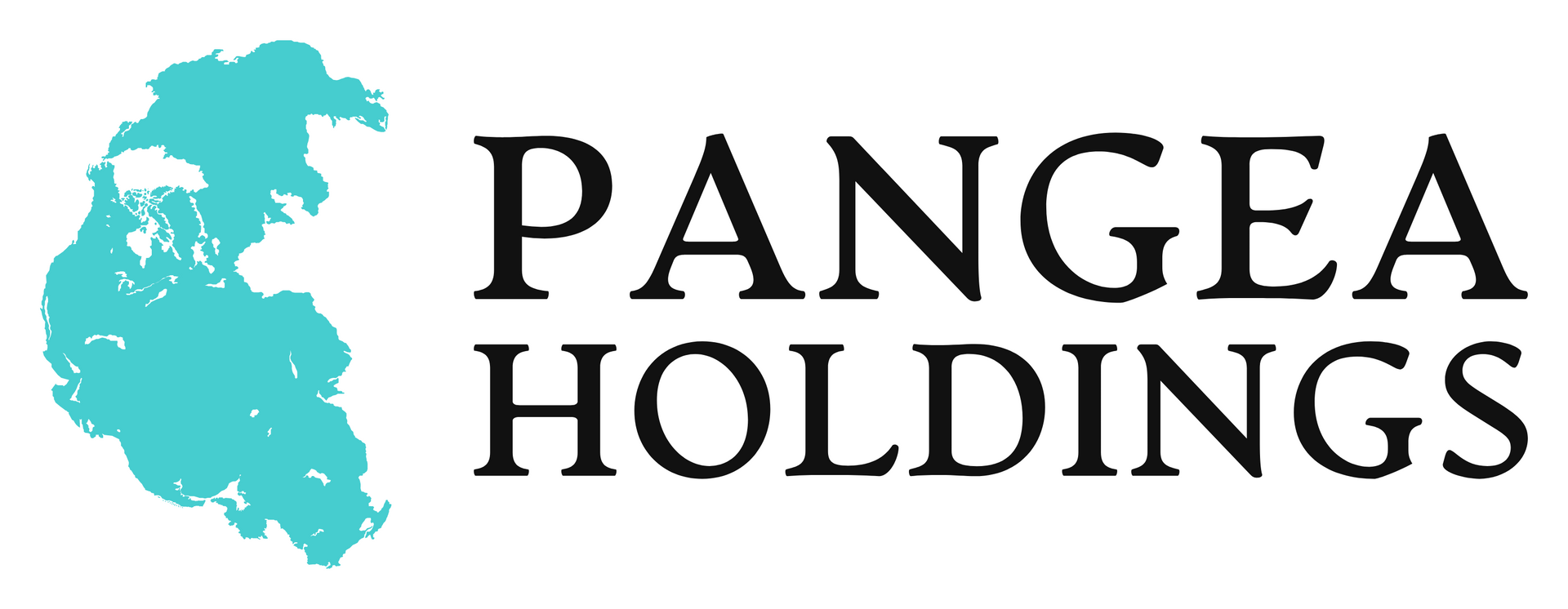 Pangea Holdings | Elevating business excellence