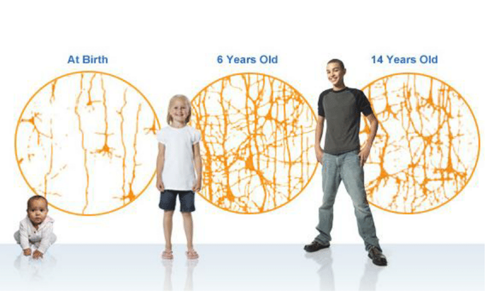 What Is Neural Pruning