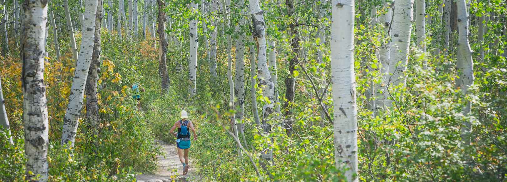 Run Rabbit Run | News | 50 & 100 Mile Endurance Races