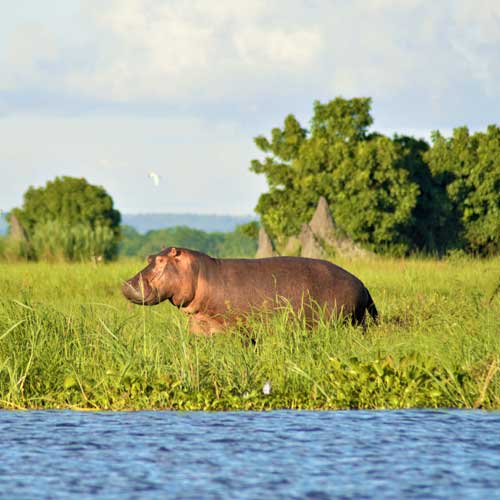 Akilanga DMC & Events