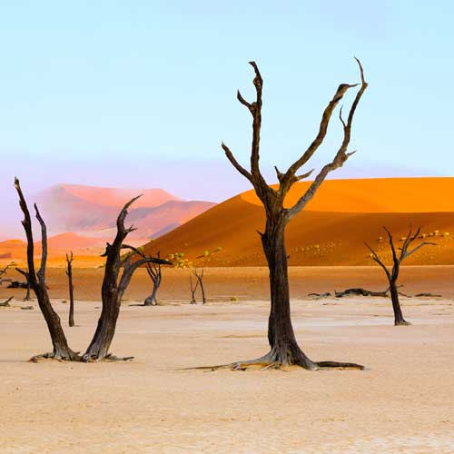 Akilanga DMC & Events