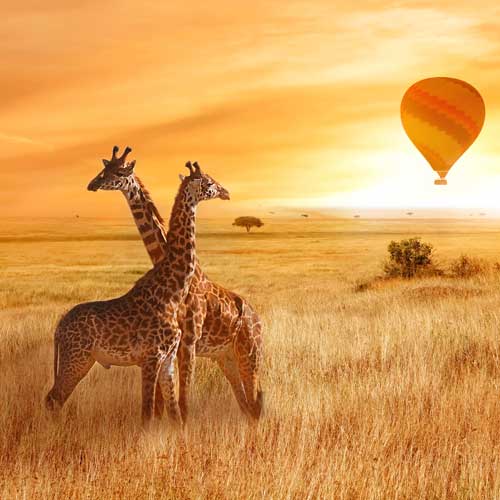 Akilanga DMC & Events