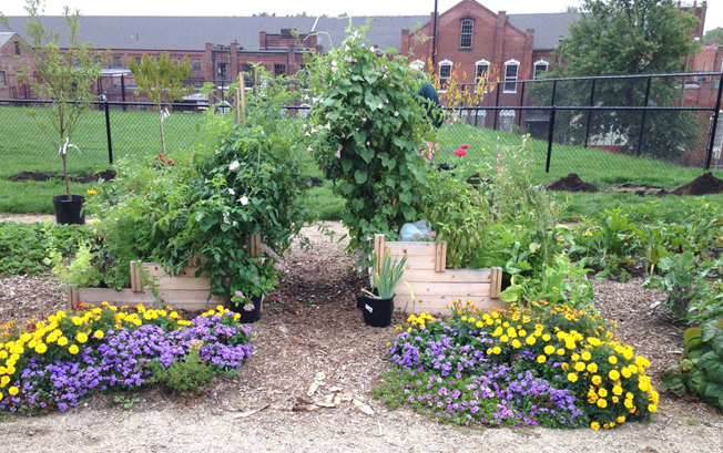 About Home Grown Springfield